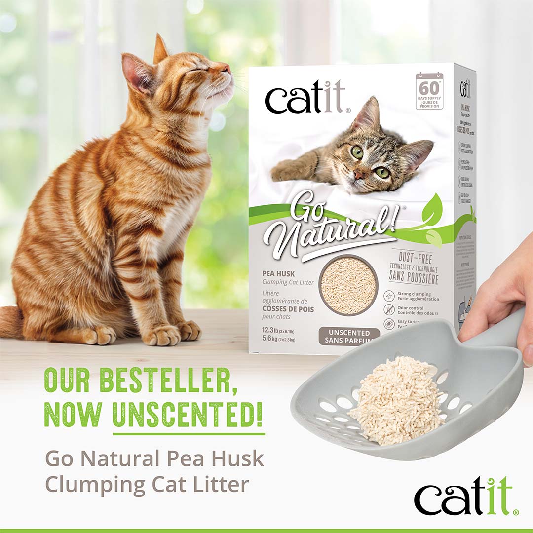 CA Go pea shell cat litter unscented - Laroy Group