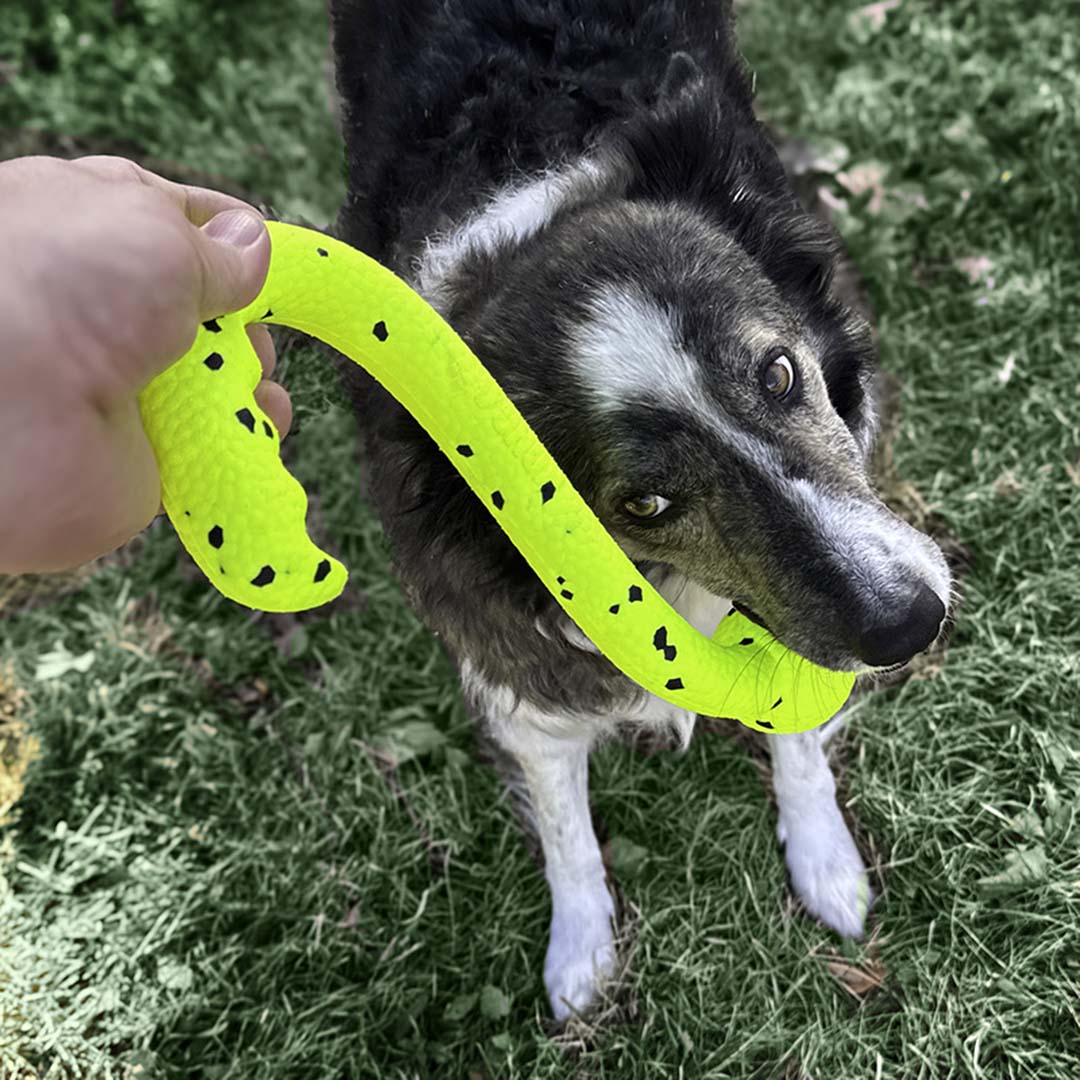 KONG Reflex Tug 'n Fetch Yellow - Laroy Group