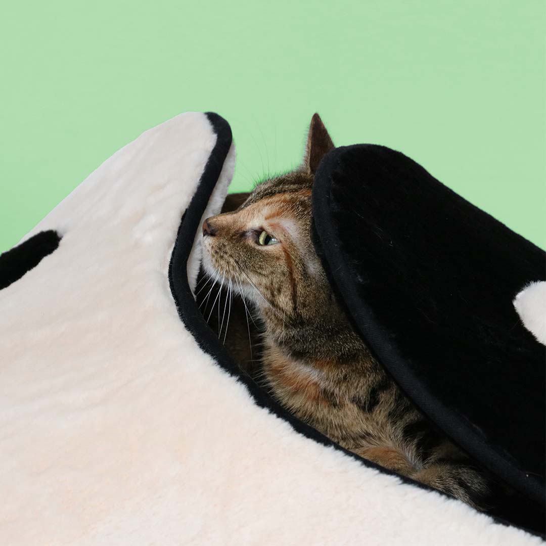 Cat cave ZEN ZONE Black/white - Laroy Group