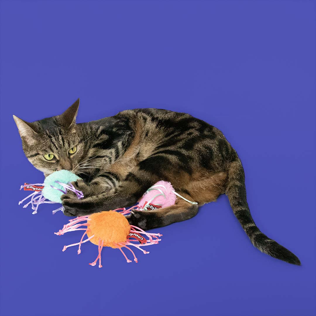Cat toy ROLLY ROSS Mixed colors - Laroy Group