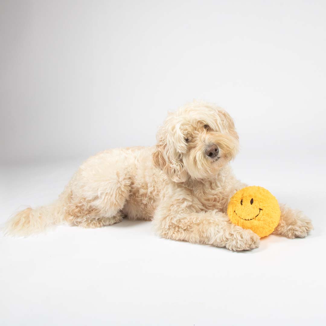 Cuddle toy GIGGLY GARY Yellow - Laroy Group