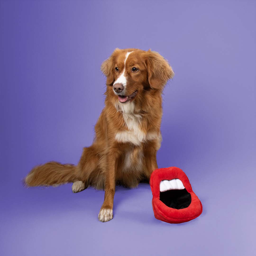 Cuddle toy HAPPY HANGRY Red - Laroy Group