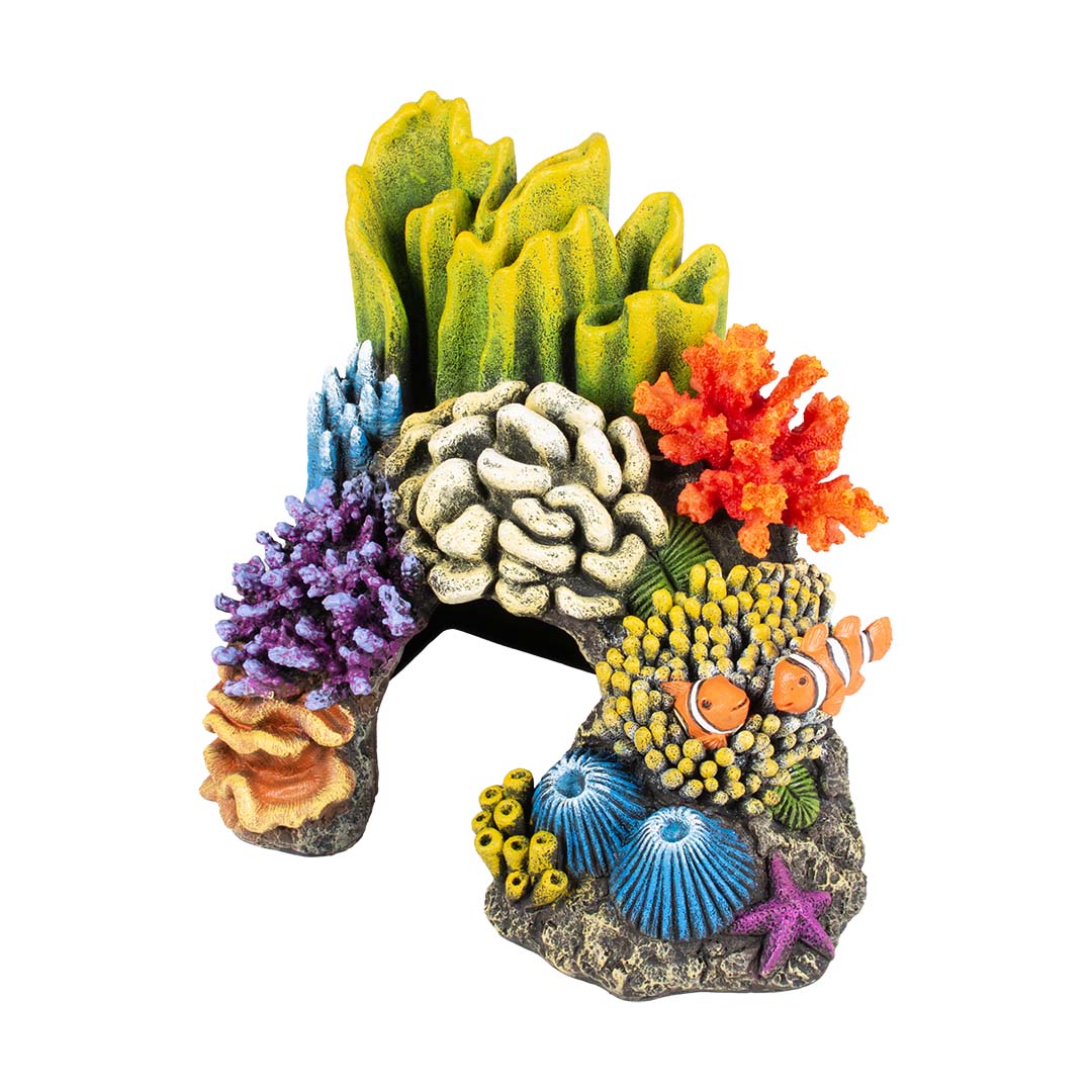 Coral cave corner Multicolour - Laroy Group