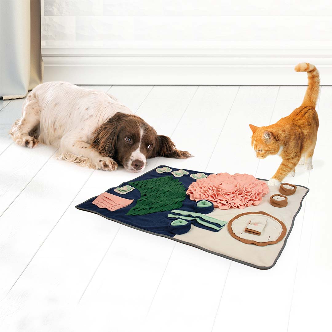 Snuffle mat earth deluxe Multicolour - Laroy Group