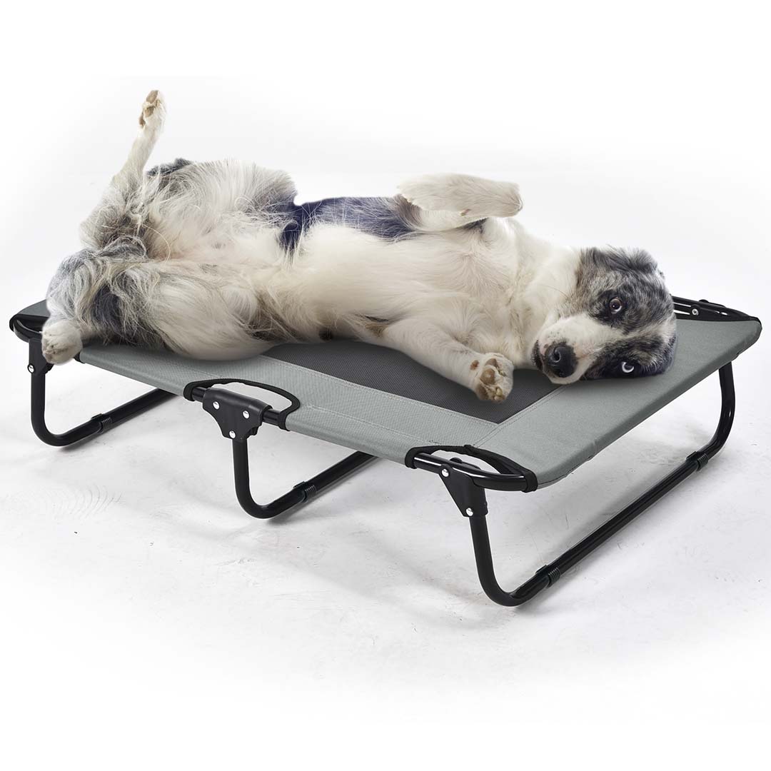 Foldable dog bed Relax Grey - Laroy Group