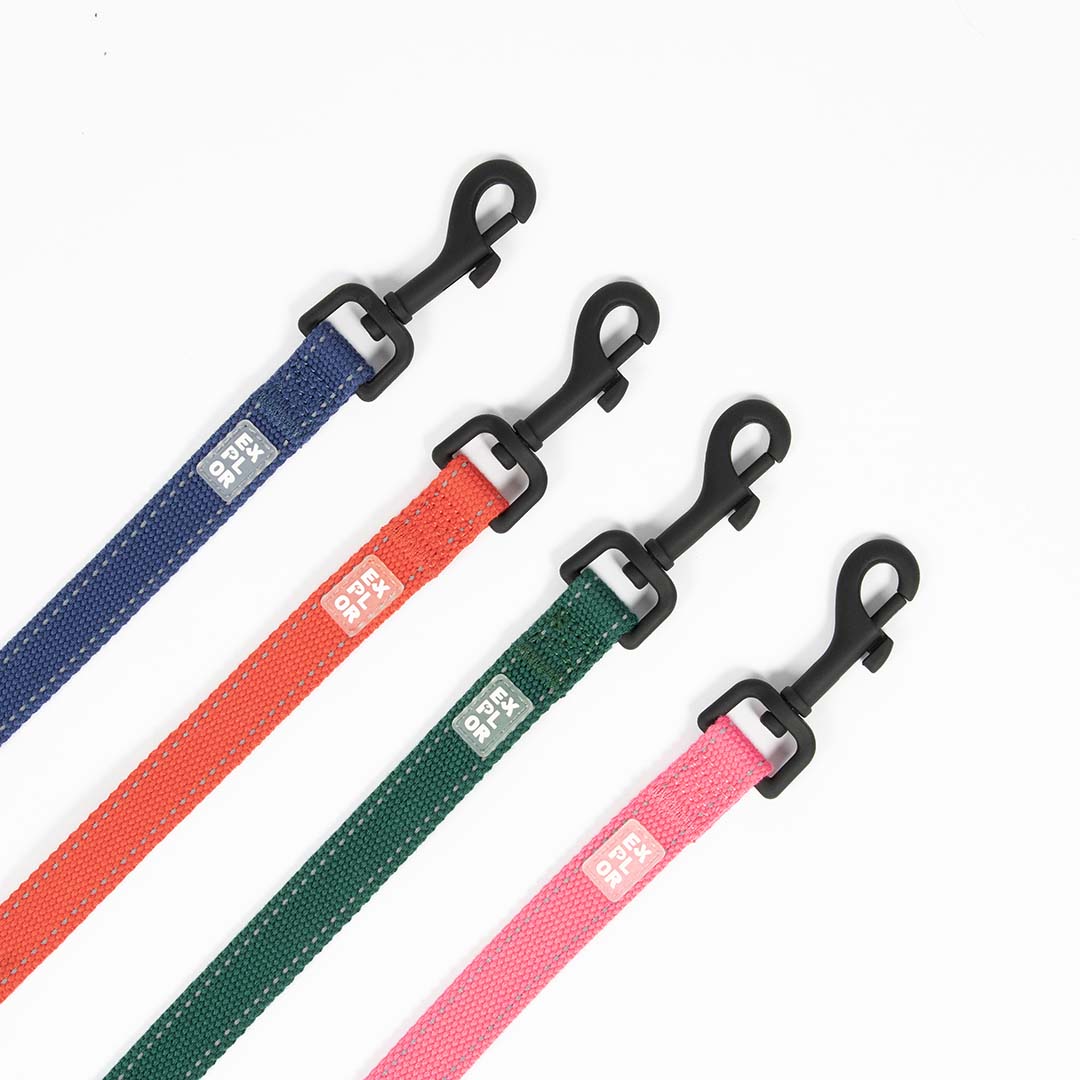 Ultimate fit kleine hond leiband Blauw - Laroy Group