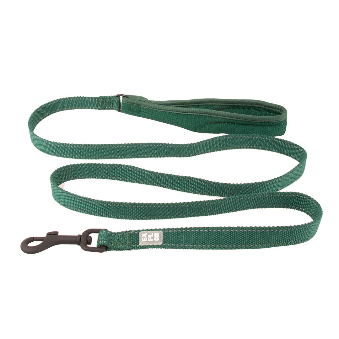 Ultimate fit small dog leash Green - Laroy Group