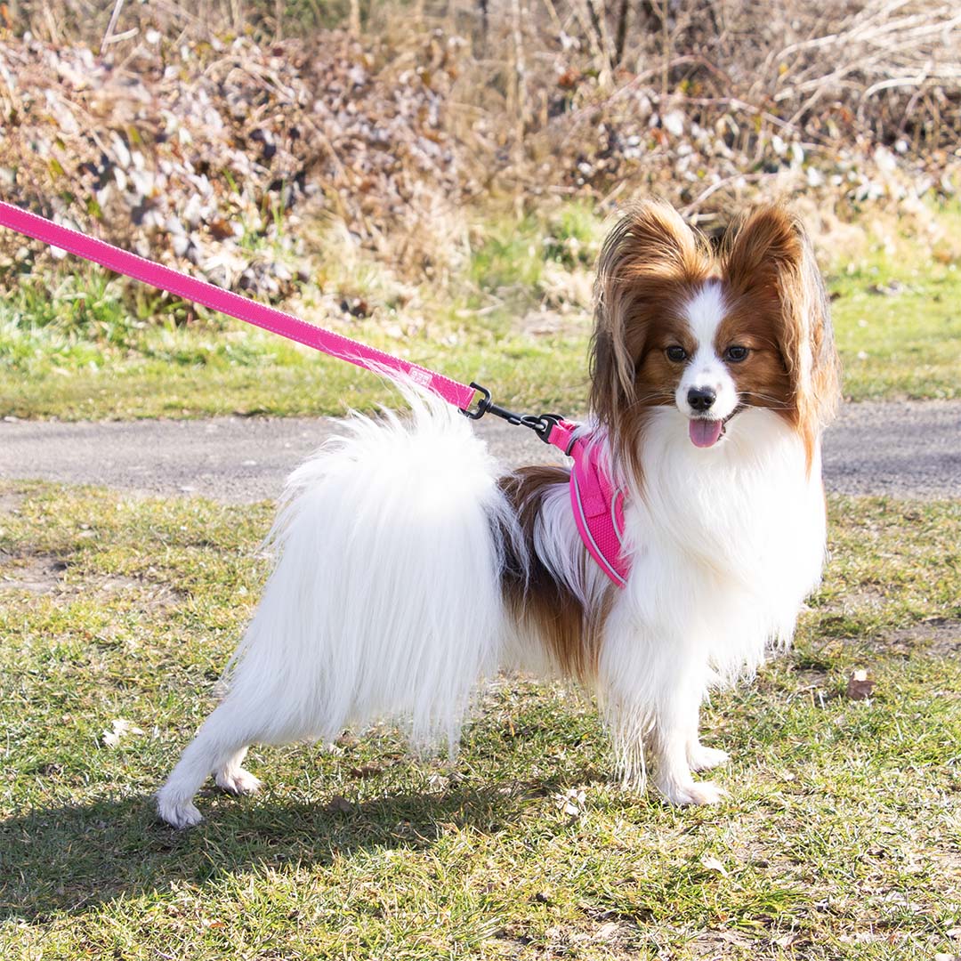 Ultimate fit small dog harness Pink - Laroy Group
