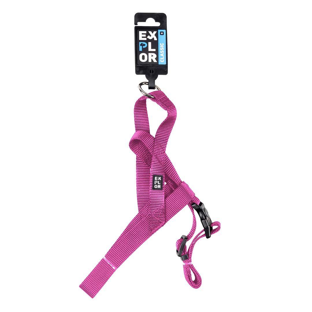 Geschirr Chest Fashion Fuchsie - Laroy Group