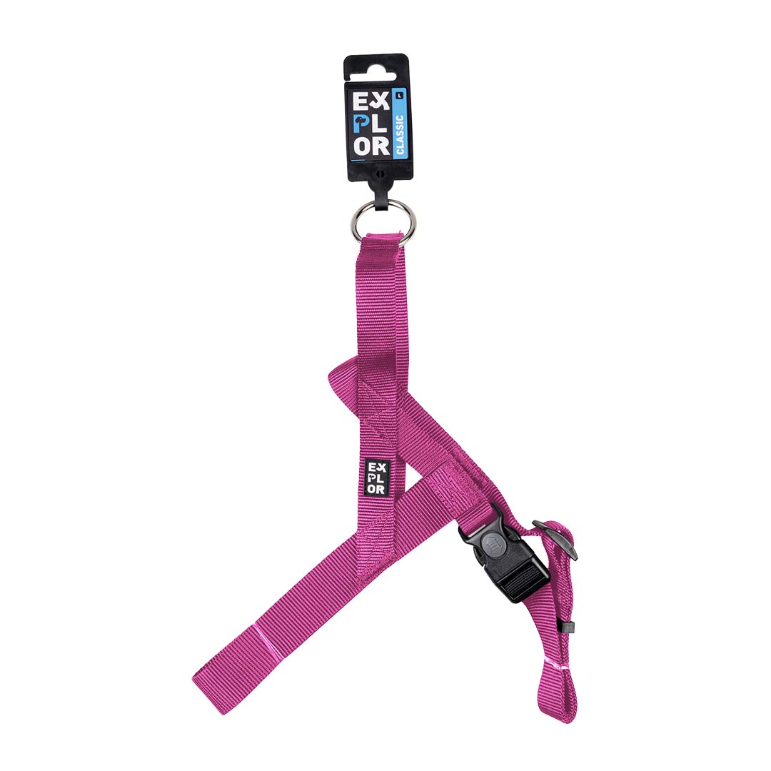 Geschirr Chest Fashion Fuchsie - Laroy Group